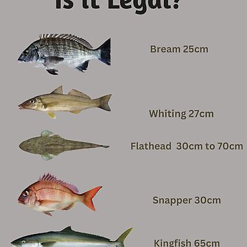 "Is it legal? Fish Size Limit Fish Chart" Sticker for Sale by ...