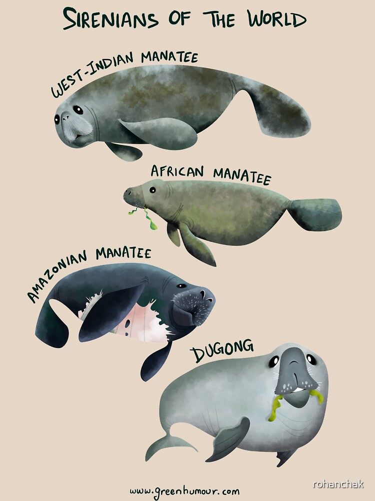 "Sirenians of the World" T-shirt for Sale by rohanchak | Redbubble ...