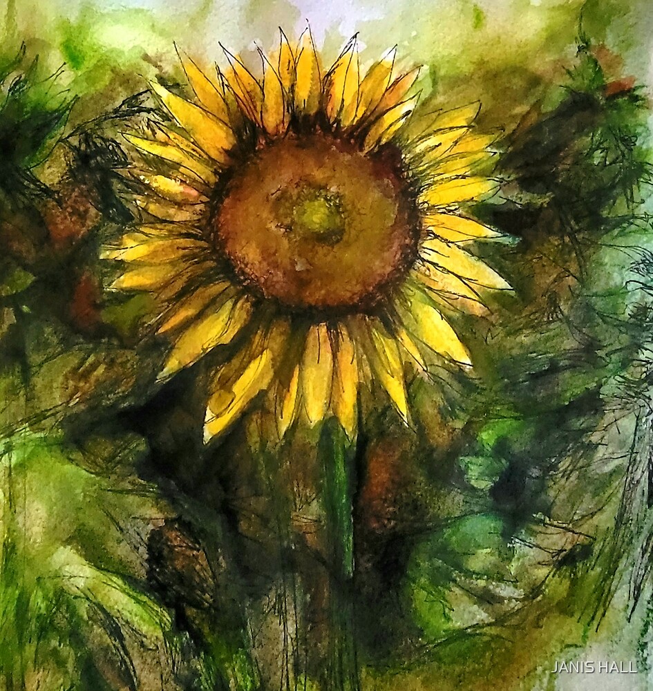 "Sunflower, Ink and Wash" by JANIS HALL | Redbubble
