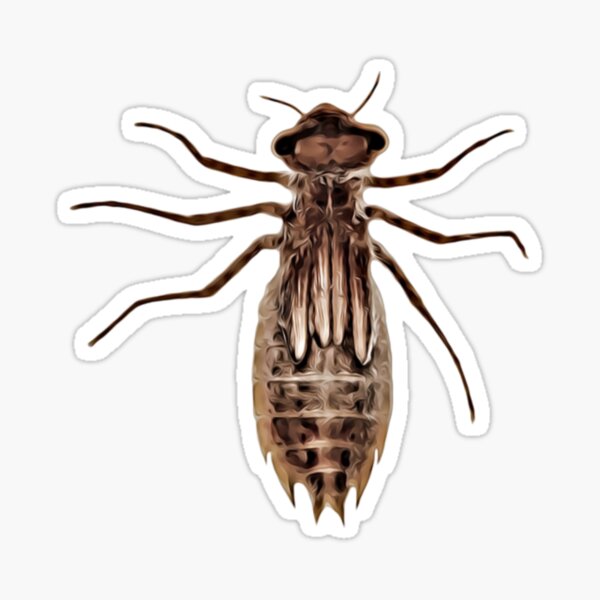 "Blue Dasher nymph" Sticker for Sale by Glasgorn | Redbubble