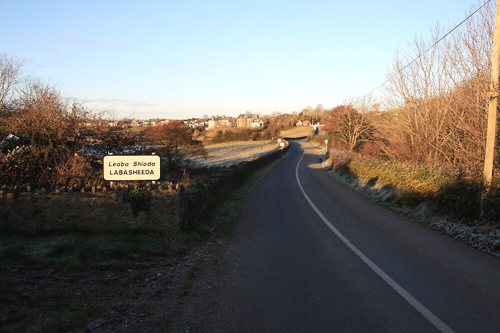 "Labasheeda" by John Quinn | Redbubble