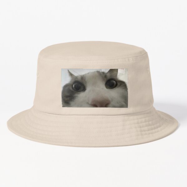 "Cat looking inside box meme" Bucket Hat for Sale by CuteCatsLol ...