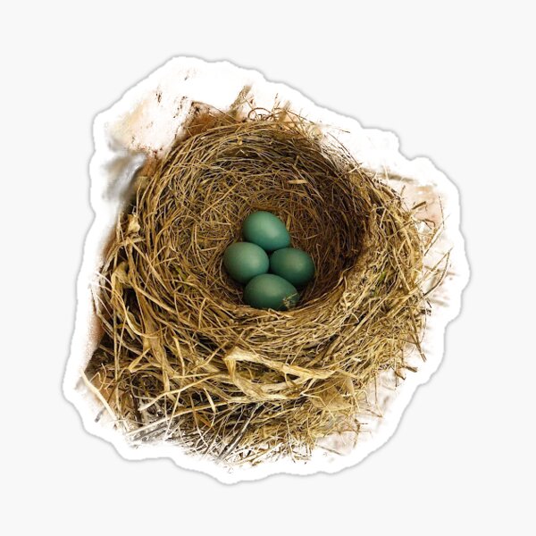 "Nest " Sticker for Sale by Sami Art Studio | Redbubble