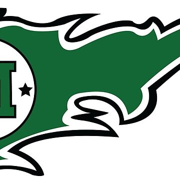 "Mason Comets" Sticker for Sale by averyb7 | Redbubble
