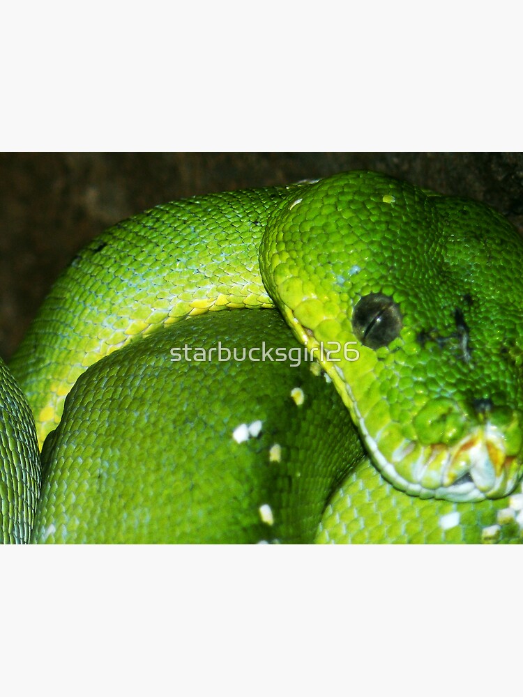 "Green & Scaly" Framed Art Print for Sale by starbucksgirl26 | Redbubble