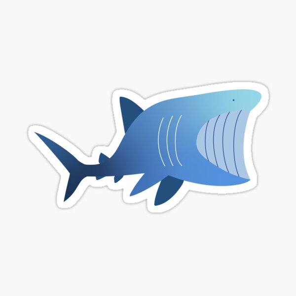 "Basking Shark - Light Blue" Sticker for Sale by juliettedavies | Redbubble