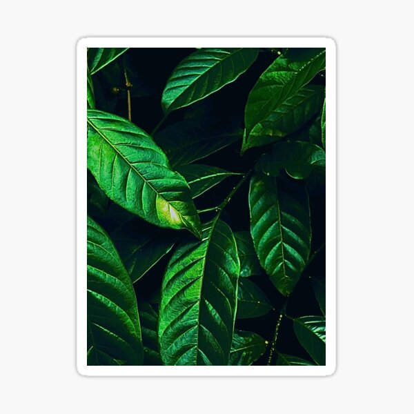 Intune Gifts & Merchandise for Sale | Redbubble