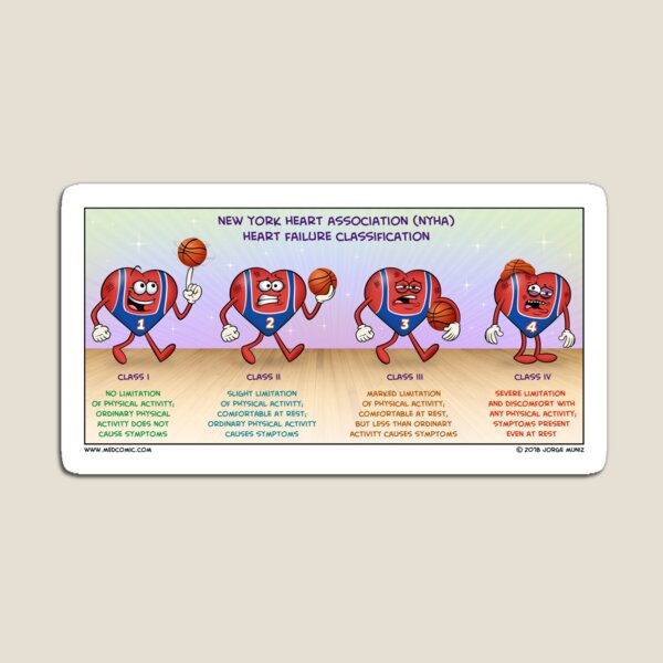 "Heart Failure: Functional Classification" Magnet for Sale by Medcomic ...