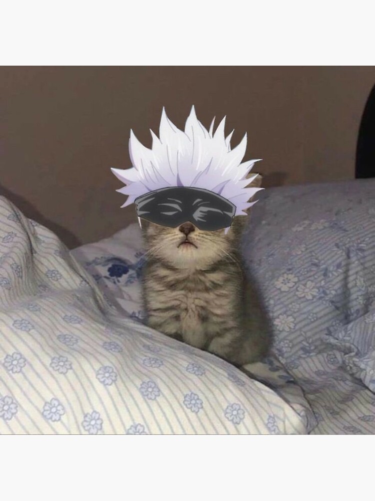 "Funny cat Gojo satoru" Poster by Yota38 | Redbubble