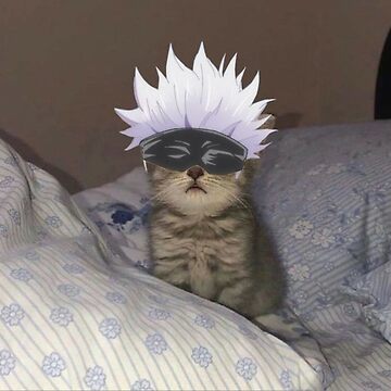 "Funny cat Gojo satoru" Sticker by Yota38 | Redbubble