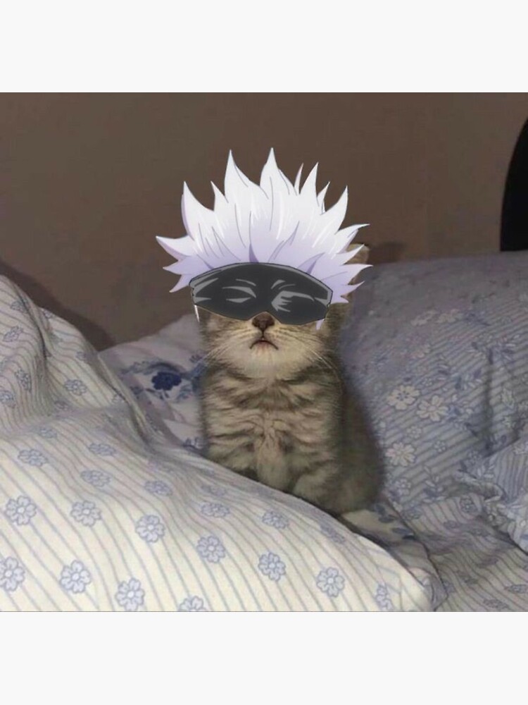 "Funny cat Gojo satoru" Sticker by Yota38 | Redbubble