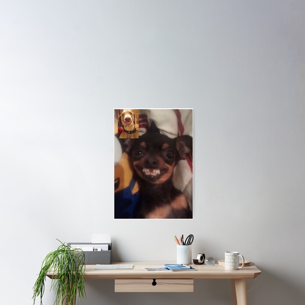 "Doge Dogs Meme Facetime" Poster for Sale by xxxlemonade | Redbubble