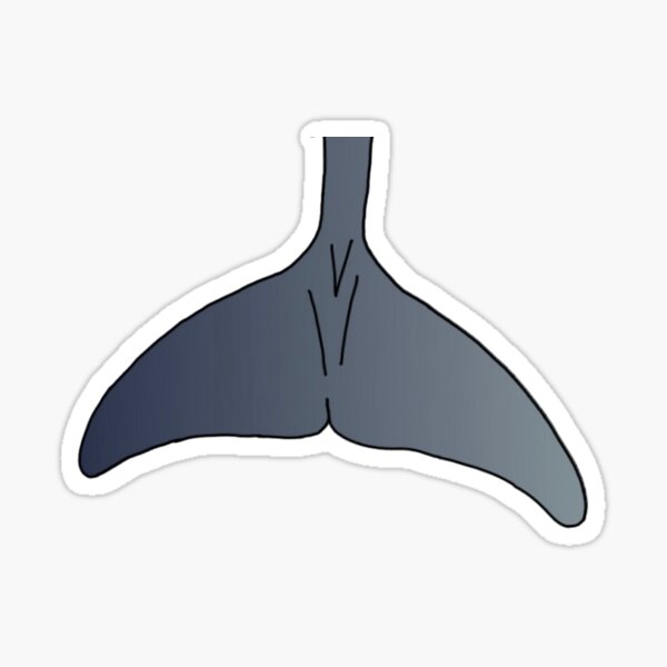 "The Rose of Longboat Key Rough Toothed Dolphin Fluke Series" Sticker ...