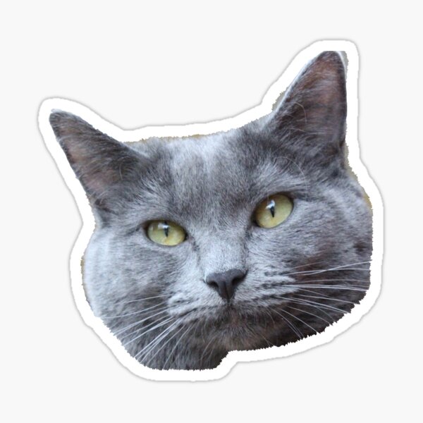 "Grey Cat" Sticker for Sale by AmeliaLK | Redbubble