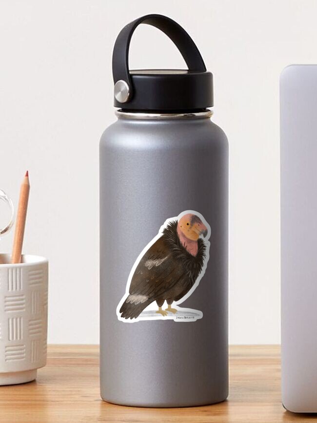 "California Condor" Sticker for Sale by julianamotzko | Redbubble