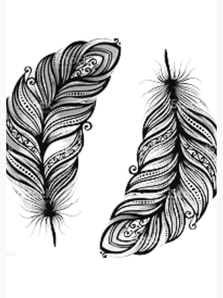 Plumas Dibujadas Conjunto De Varias Plumas Dibujadas A Mano, Forma De