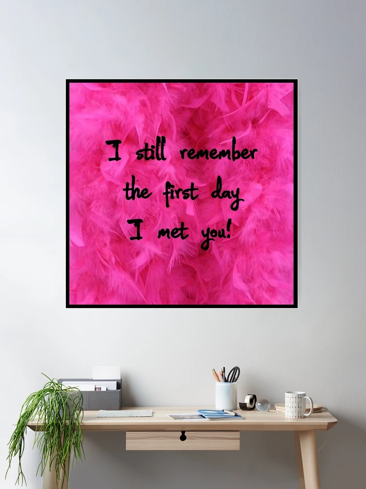 I Still Remember The First Day I Met You Quotes