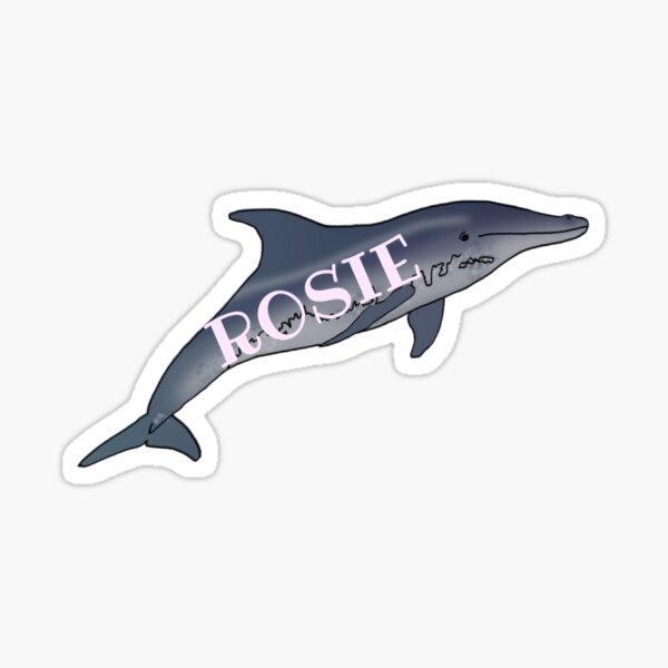 "The Rose of Longboat Key Name Plate Series 2" Sticker for Sale by Ccu1 ...