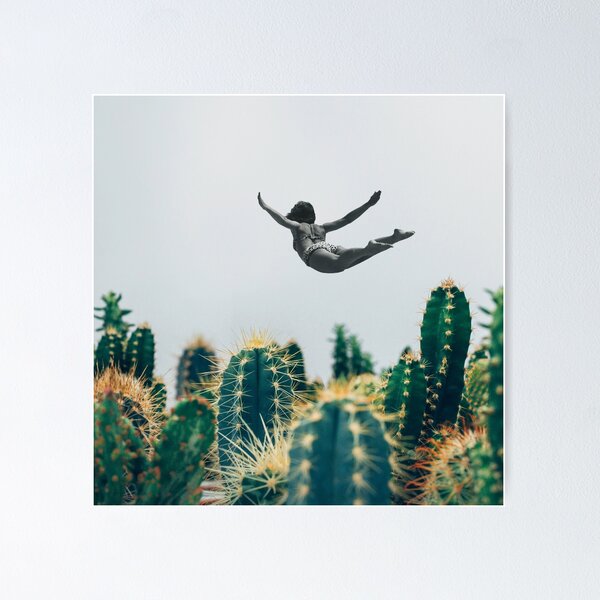 "Free Falling " Poster for Sale by Sophie Moates | Redbubble