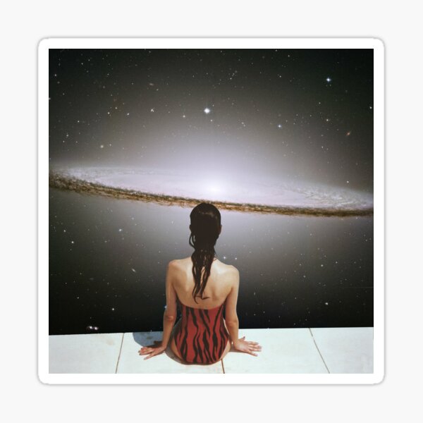 "The View" Sticker by superwhoart | Redbubble