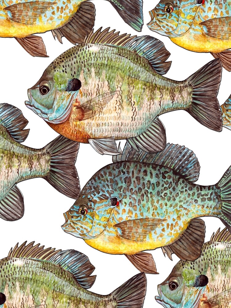 "Sunfish" T-shirt for Sale by WendyBerry | Redbubble | pan fish graphic ...