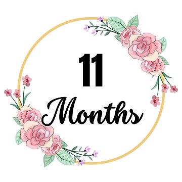 "11 Months Milestone Baby Girl Pink Floral Script" Sticker for Sale by ...