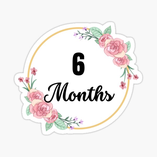 "6 Months Milestone Baby Girl Pink Floral Script" Sticker for Sale by ...