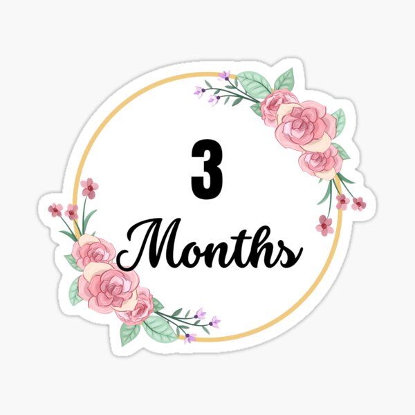 "3 Months Milestone Baby Girl Pink Floral Script" Sticker for Sale by ...