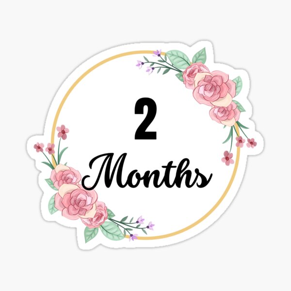 "2 Months Milestone Baby Girl Pink Floral Script" Sticker for Sale by ...