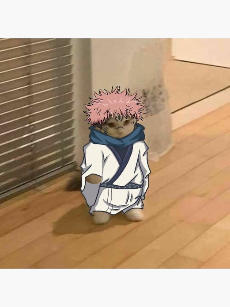 "Funny cat Ryomen Sukuna" Photographic Print by Yota38 | Redbubble