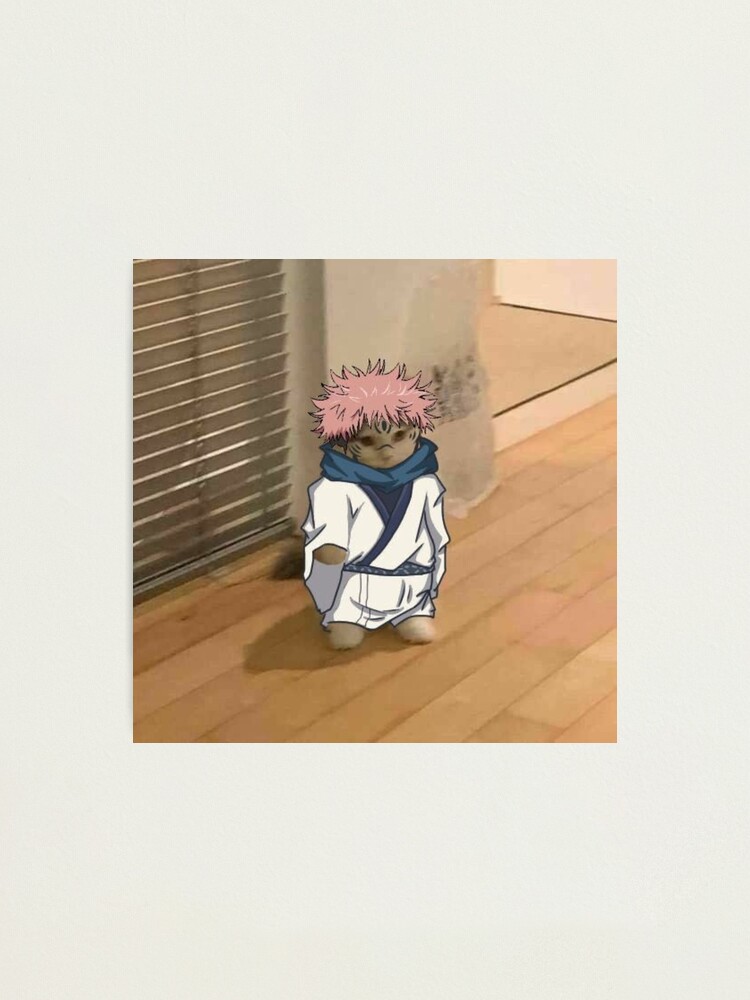 "Funny cat Ryomen Sukuna" Photographic Print by Yota38 | Redbubble