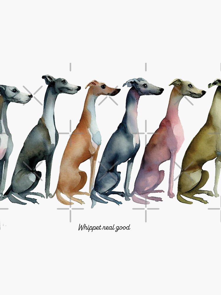 "Whippet Real Good" Sticker for Sale by SkipAndSkop | Redbubble