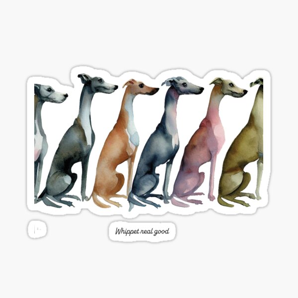 "Whippet Real Good" Sticker for Sale by SkipAndSkop | Redbubble