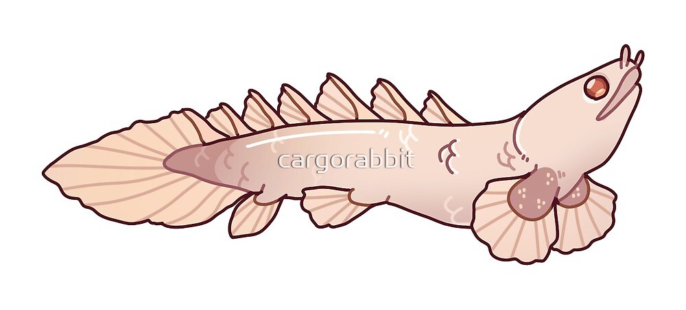 "Albino Bichir" by cargorabbit | Redbubble