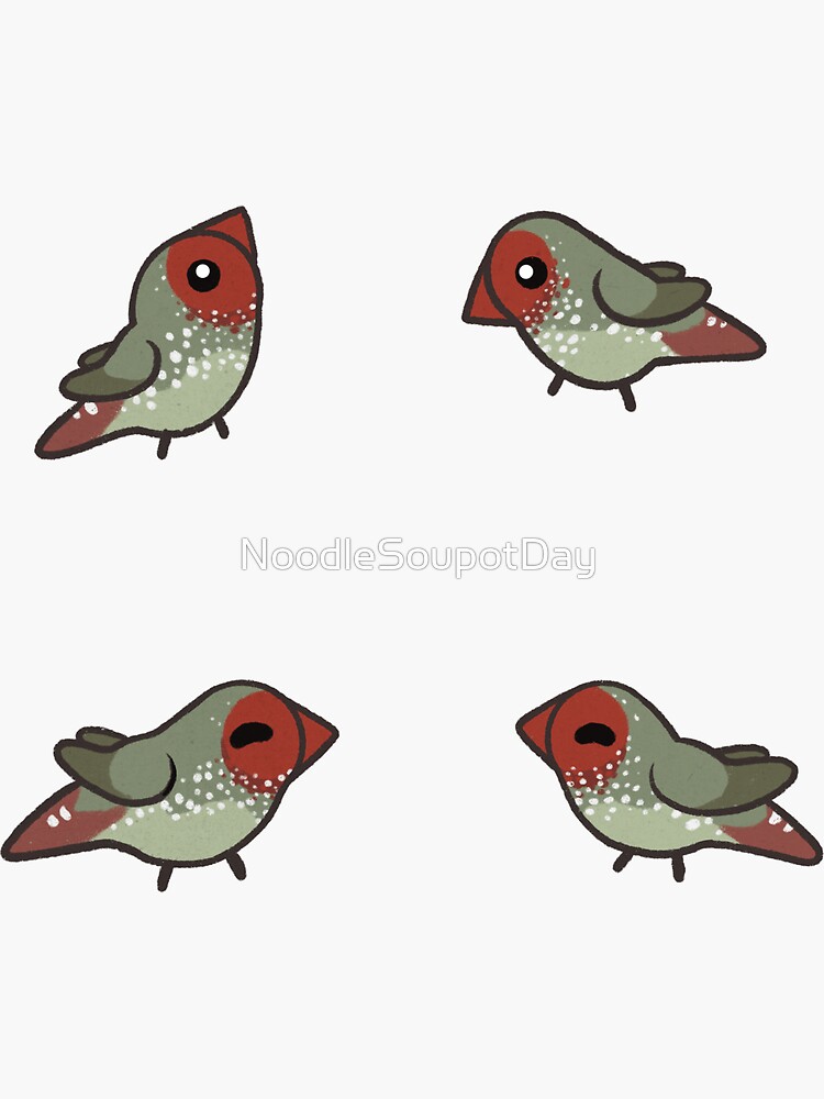 "Star Finch" Sticker for Sale by NoodleSoupotDay | Redbubble