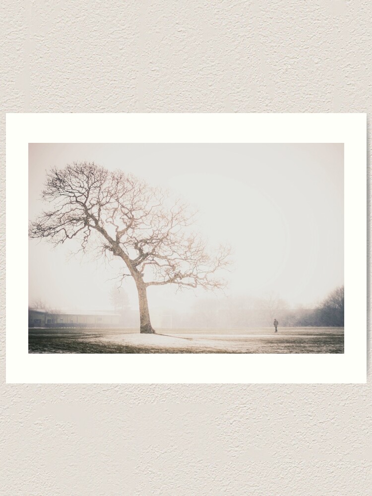 "Bleak" Art Print for Sale by DebraCox | Redbubble