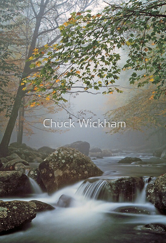 "A FOGGY MOUNTAIN STREAM" by Chuck Wickham | Redbubble