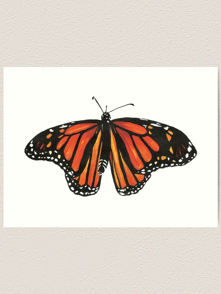 "Monarch" Art Print for Sale by kyterlize | Redbubble