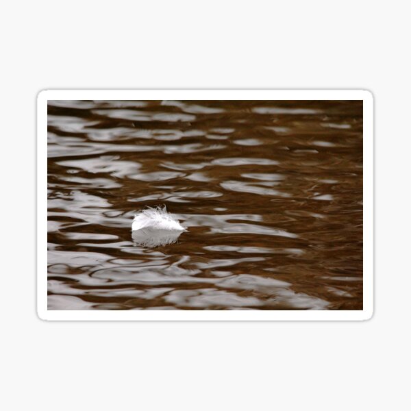 "Floating White Feather" Sticker for Sale by debop | Redbubble