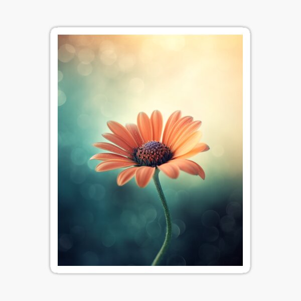 ""Daisy in Watercolor" - An UHD Art Piece Celebrating the Simplicity ...