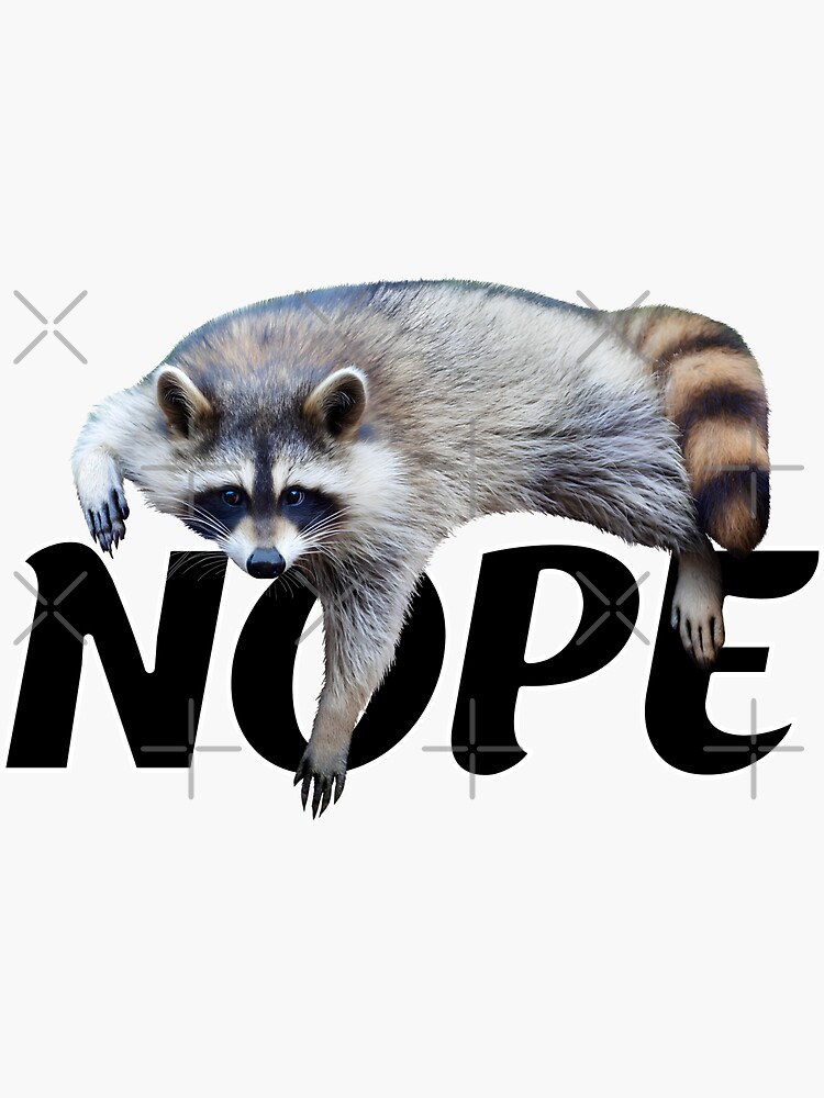 "Nope Raccoon Cool | Funny raccoon| Raccoon nope Cute Raccoon " Sticker ...
