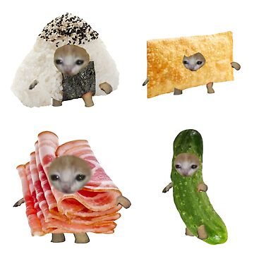 "Food Cat Meme " Sticker for Sale by Ka Bong | Redbubble