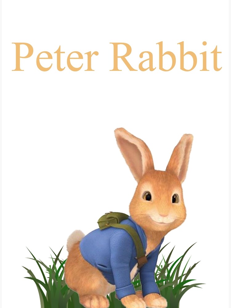 "Peter Rabbit " Poster for Sale by MissMitchell | Redbubble