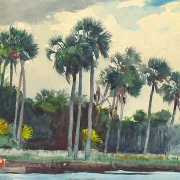 "Winslow Homer's Royal Palm Trees and Red Shirt, Homosassa, Florida ...