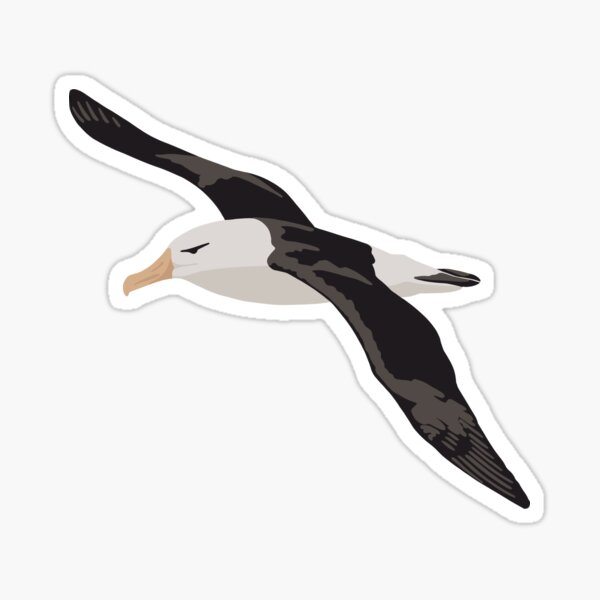 "Black Browed Albatross" Sticker for Sale by GeoCreate | Redbubble
