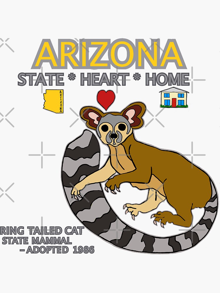 "Arizona - Ring Tailed Cat - State, Heart, Home - state symbols ...
