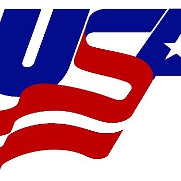 "USA Hockey " Sticker for Sale by sarahhovo | Redbubble