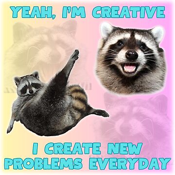 "Yeah I'm Creative, I create new problems everyday, raccoon meme ...