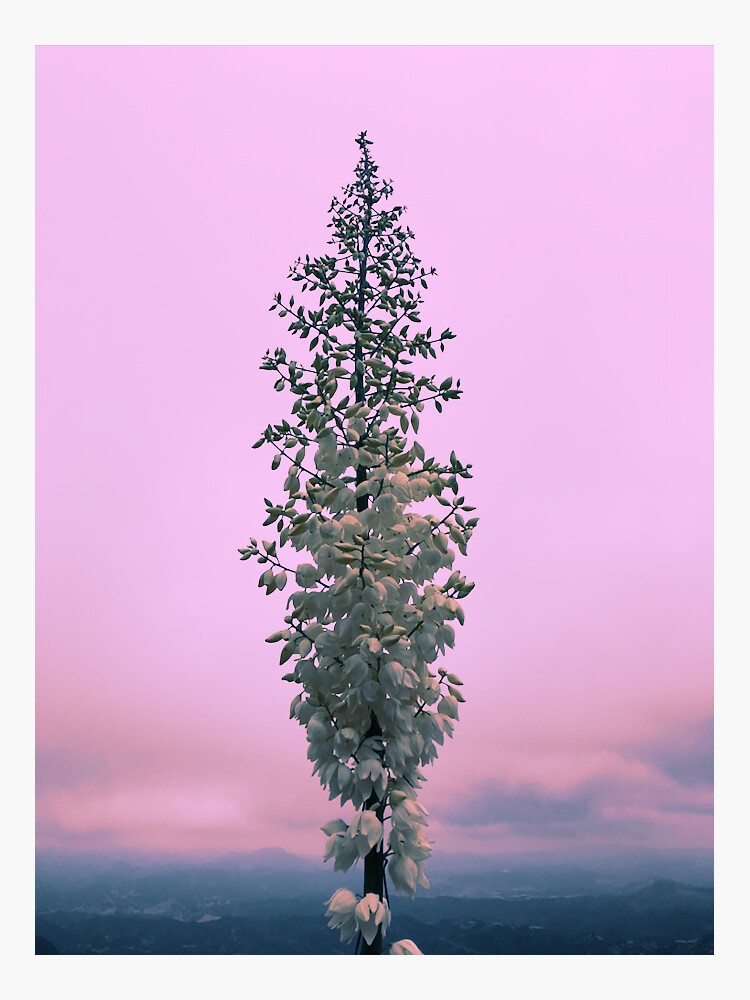 "Flume Inspired Flower" Sticker for Sale by ShamanLight | Redbubble