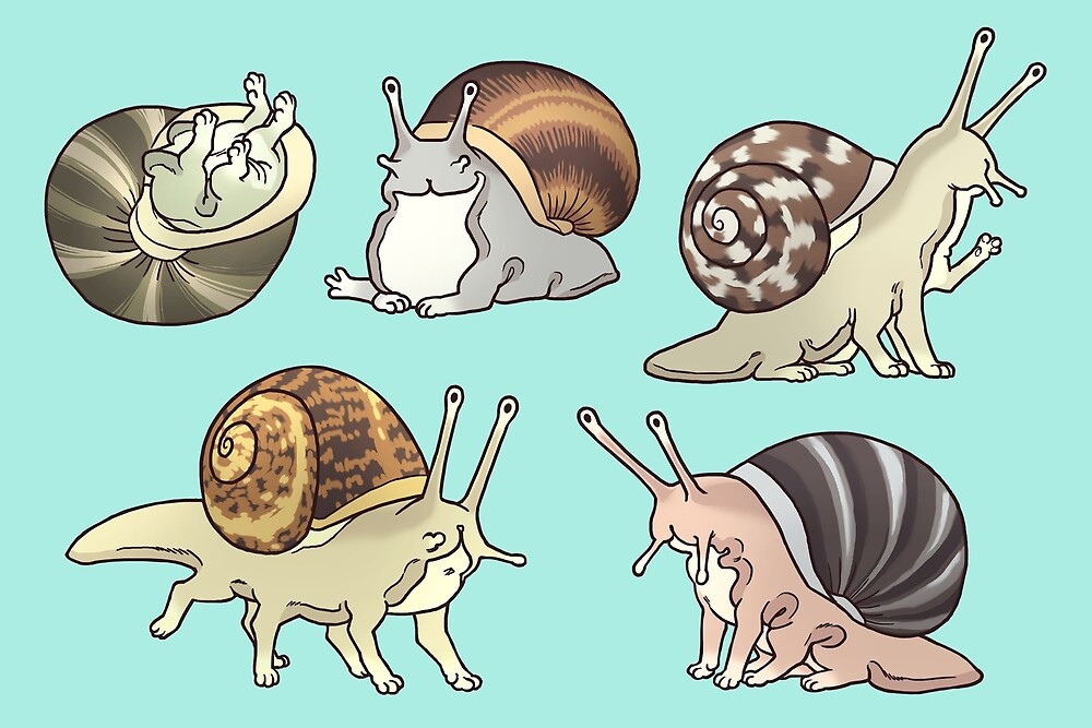 "Snegs: Snail with Legs" by jayrockin | Redbubble